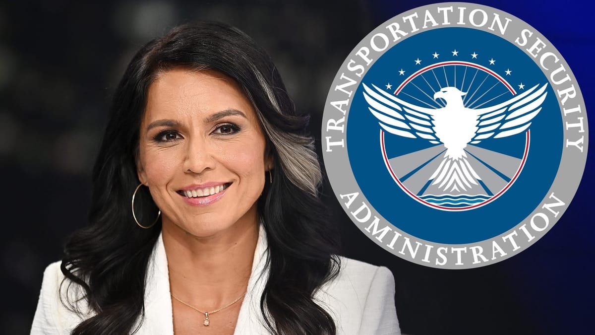 Flying While Thinking: How Your Opinions Could Land You on the TSA's ...